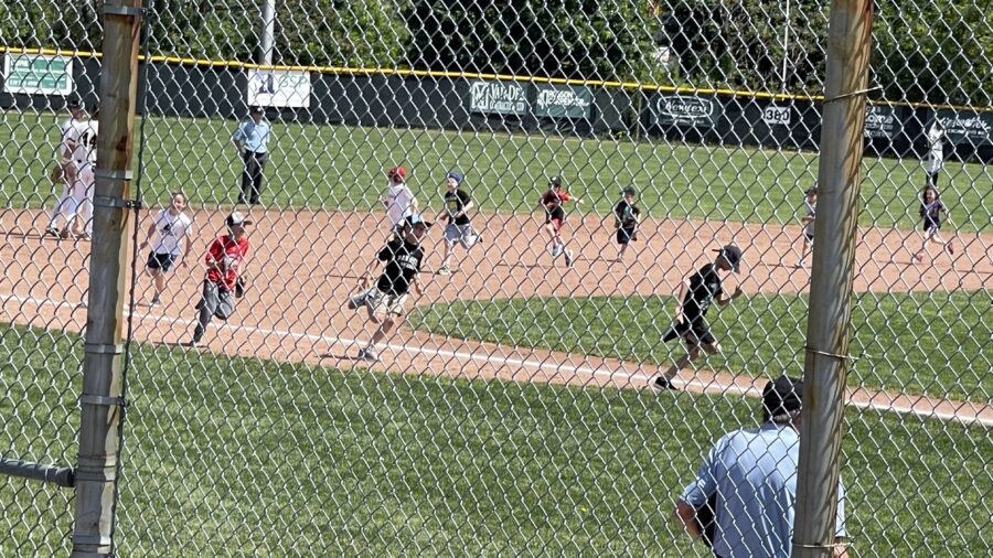Jack Couch Baseball Park - Kitchener Panthers