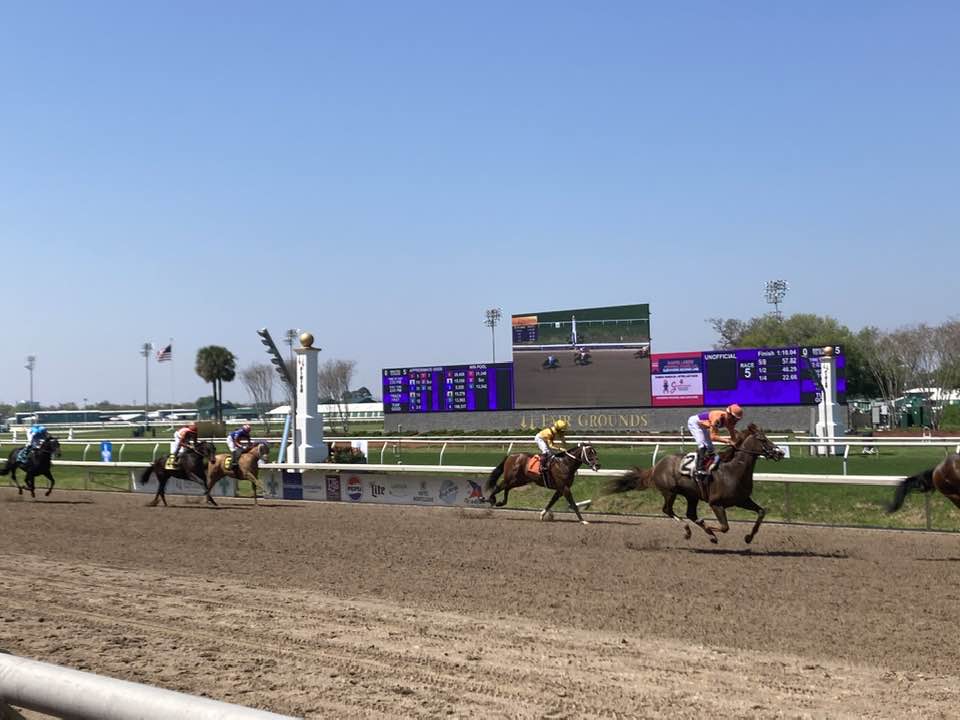 Fair Grounds Race Course