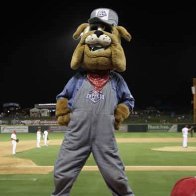 Who’s Who in Texas MiLB Mascots
