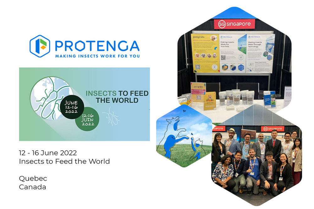 Protenga at Insects Feed World 2022 - World’s Largest Insect Scientific ...
