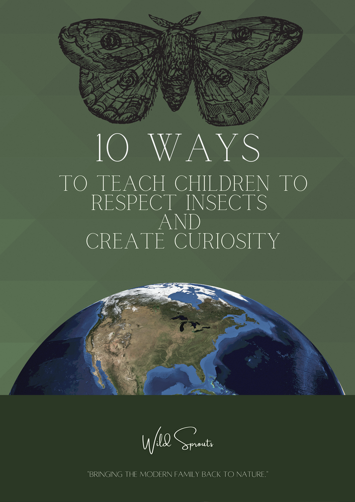 10 ways to teach children to respect insects and create curiosity