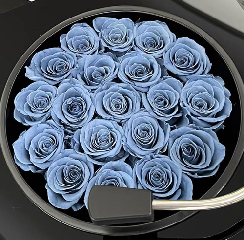 Smoke Blue Phonograph Preserved Rose | C Blanc Rose