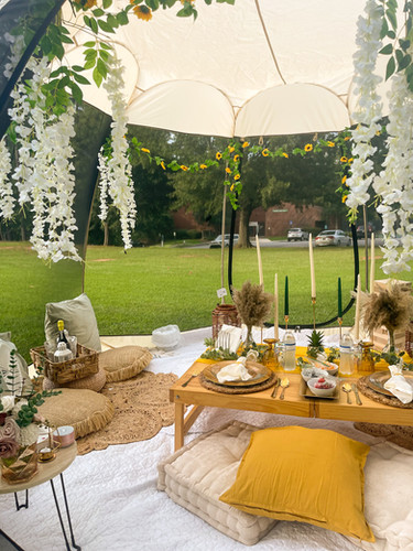 Posh Summer Solace | Posh Park ATL