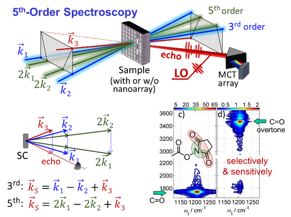 Researches | Rubtsov Group