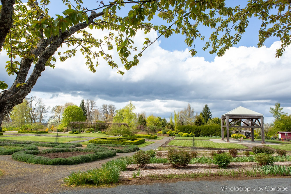 Oregon Garden | Silverton Wedding Venue | Oregon
