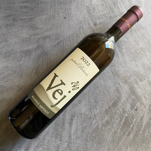 PODERE PRADAROLO / VEJ BIANCO ANTICO 2022 | Wine Shop Soif.