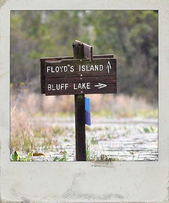 Bluff Lake Camp Okefenokee Swamp