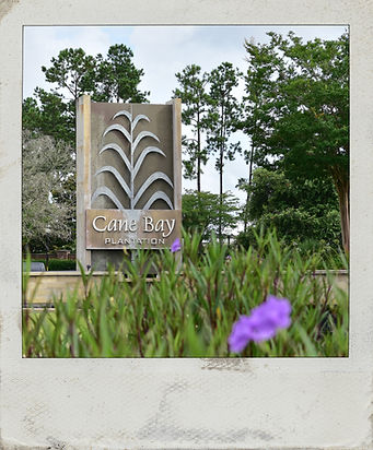 Cane Bay Walkway