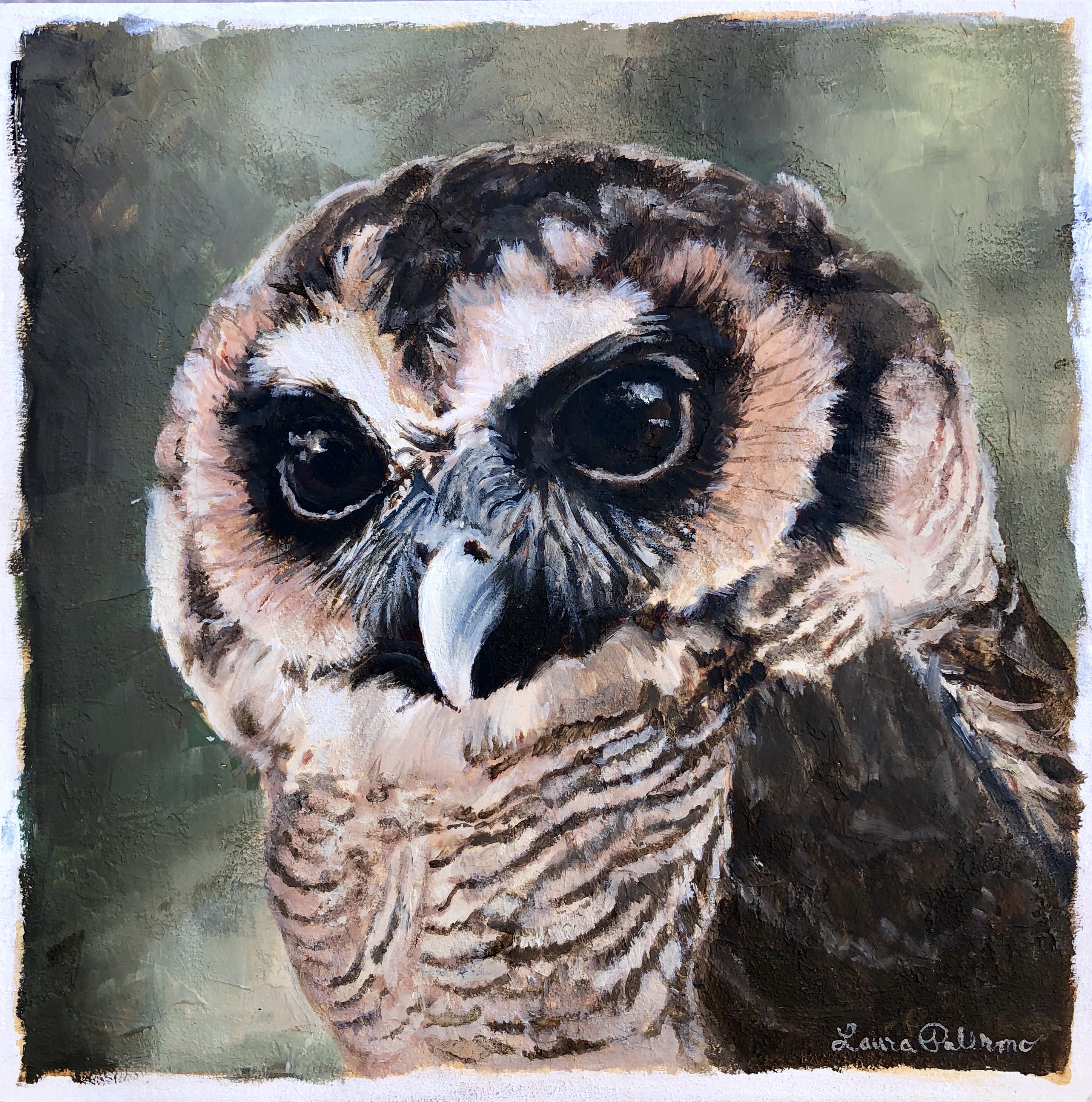 Laura Palermo - Wildlife Conservation Artist
