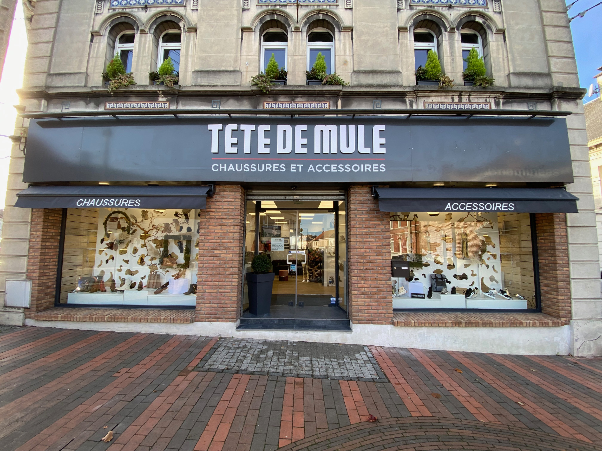 Showroom | Tête de Mule