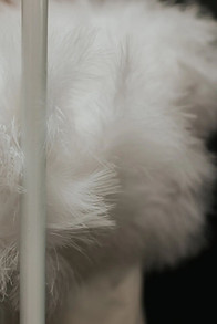 Bespoke Wedding Dress Designer | Sarah Stoute Bespoke | Christchurch