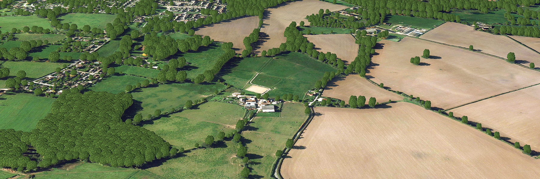 National Tree Map | Bluesky International Limited