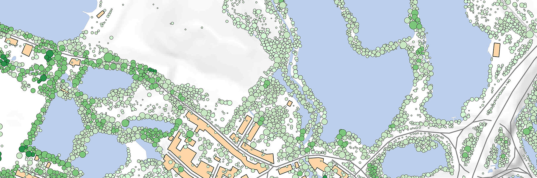 National Tree Map | Bluesky International Limited