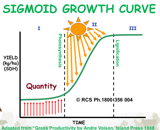 Grass & Soil | mysite