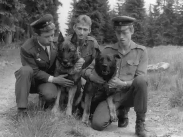 The Czech Dogs History | All Defense K9