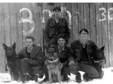 The Czech Dogs History | All Defense K9
