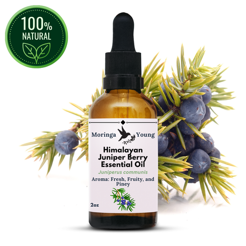 Himalayan Juniper Berry Essential Oil | Moringa Young