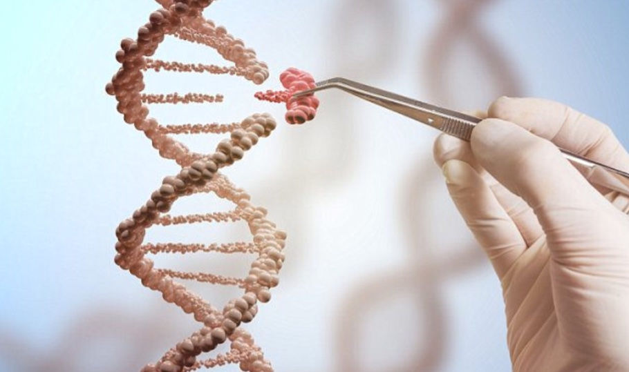 Human gene editing trials set to soon begin
