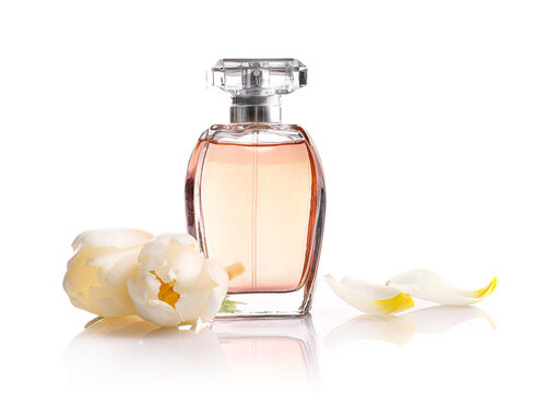 Flower Bomb Perfume | My Site