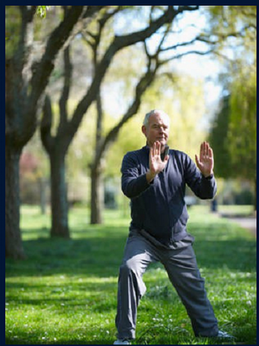 Sun-Style Tai Chi Micro-Set | abundantpeace