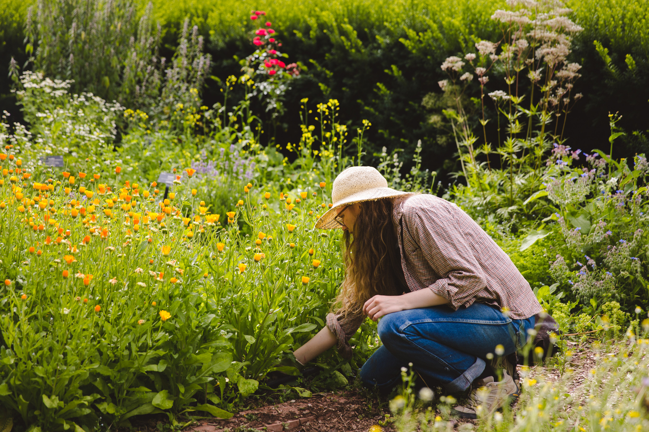 SERVICES | Wildscape Gardens