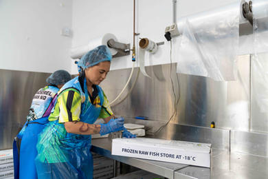 Gallery | Mackerel Man