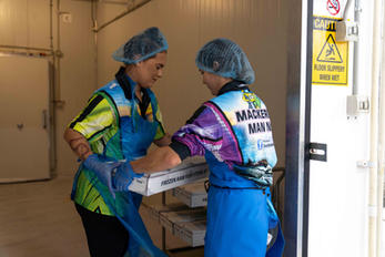 Gallery | Mackerel Man