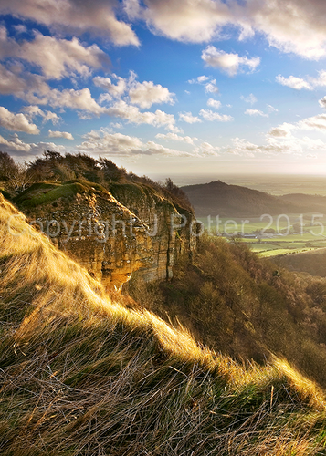 Whitestone Cliff | theforgetearooms