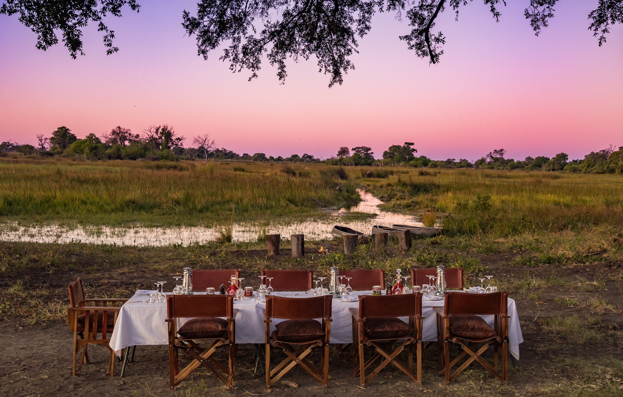 SAFARI COLLECTIONS | Amazing Botswana