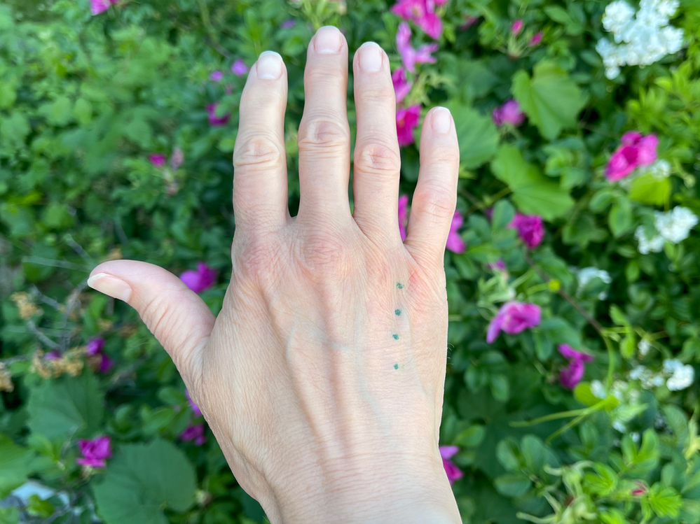 The EFT 9-Gamut Sequence