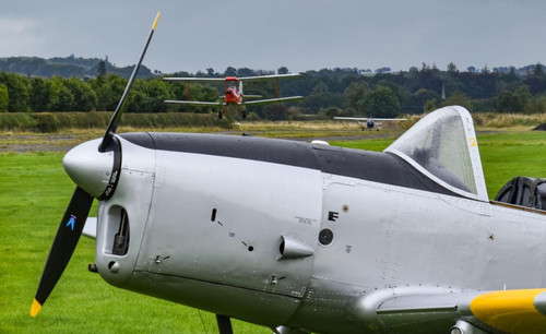 de Havilland Day 30 minute flights | Tiger Flights