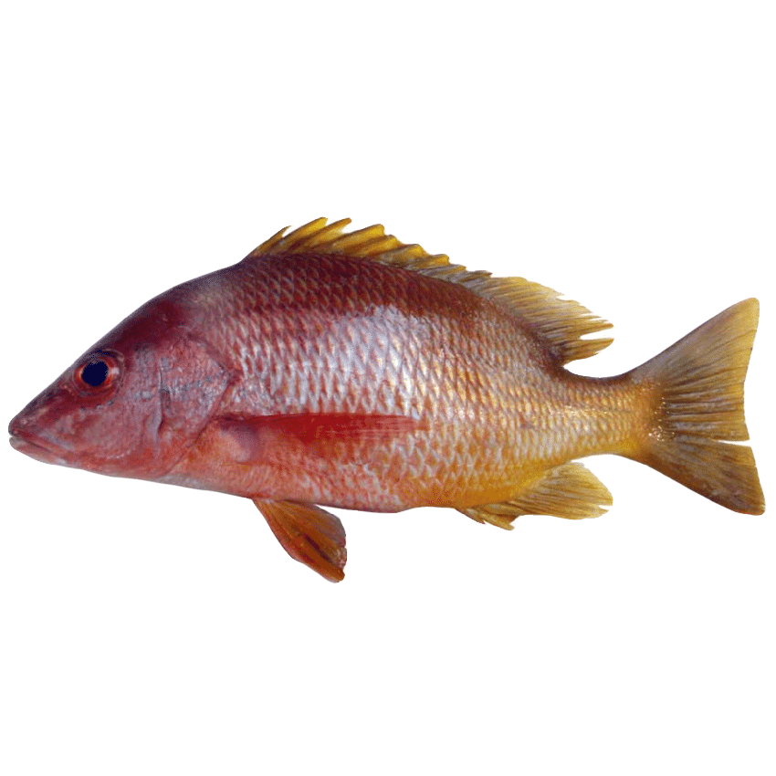 Productos | Inversiones F.A.L. De Panamá, S.A.