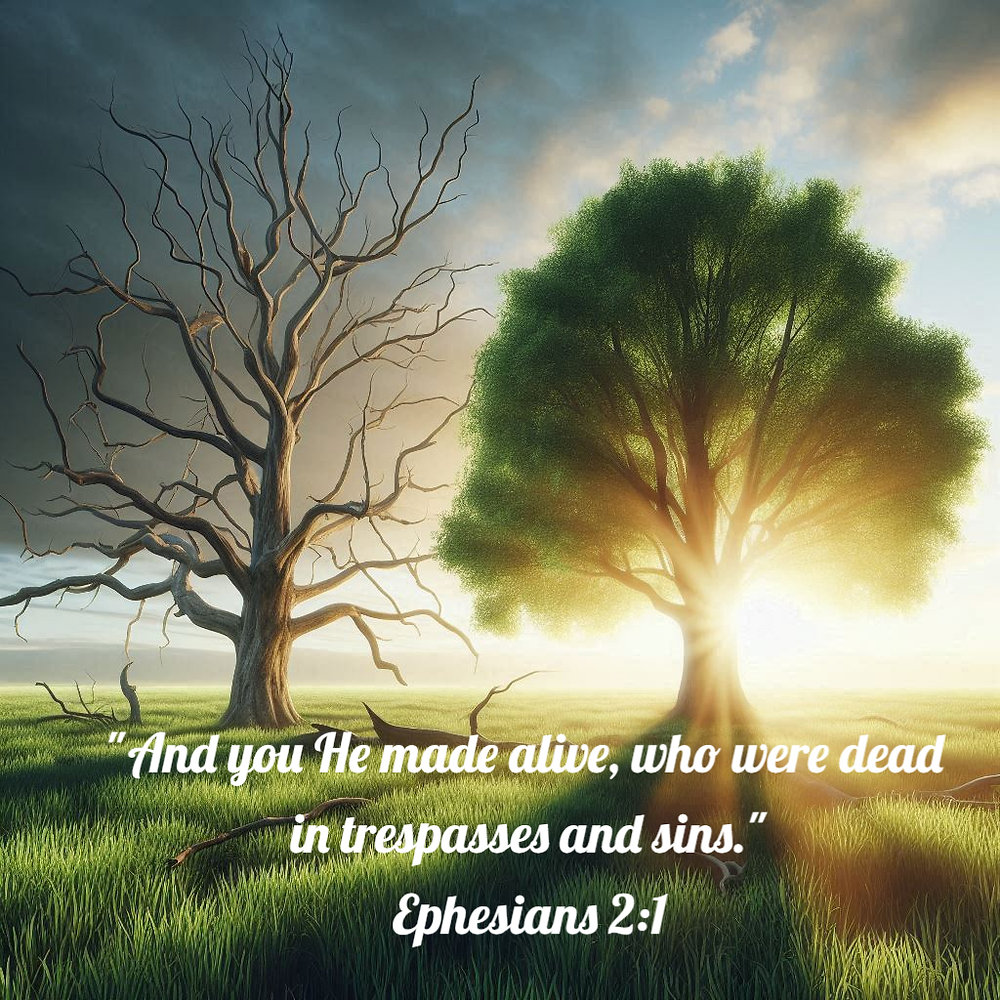 From Death to Life: God's Grace in Ephesians 2 Explained