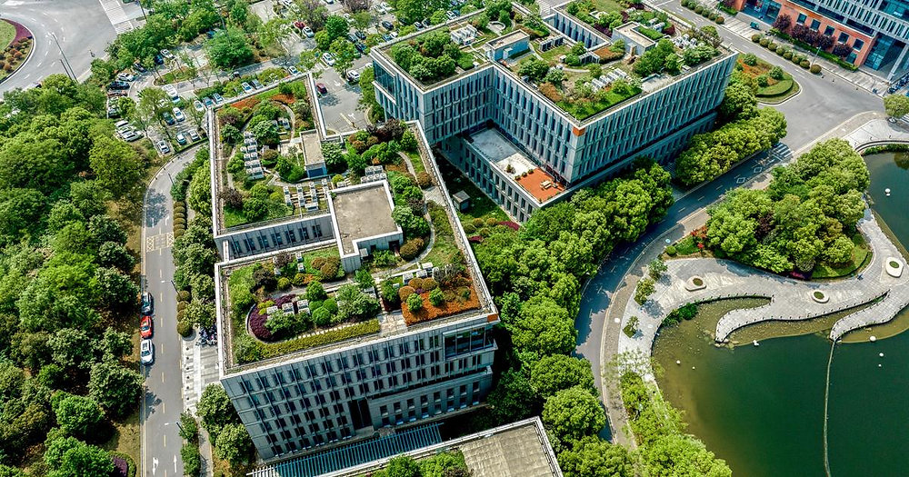 Green Infrastructure vs. Grey Infrastructure: Integrating Sustainable ...