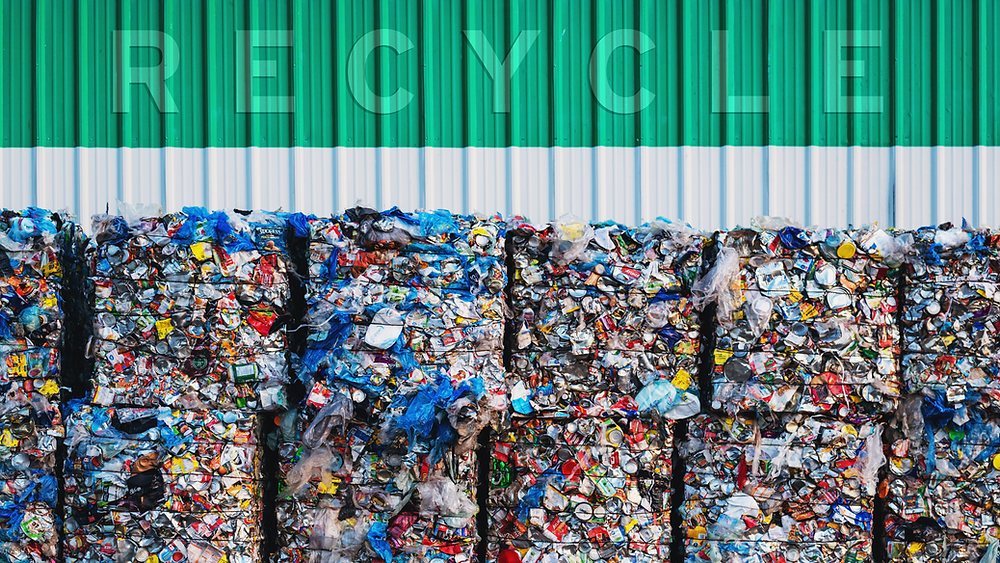 Recycling Myths Exposed: Costly Mistakes You Need to Avoid