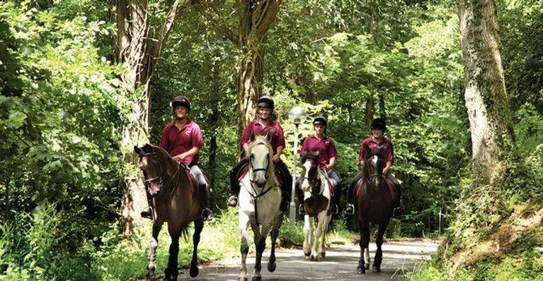 Finlake Riding Centre