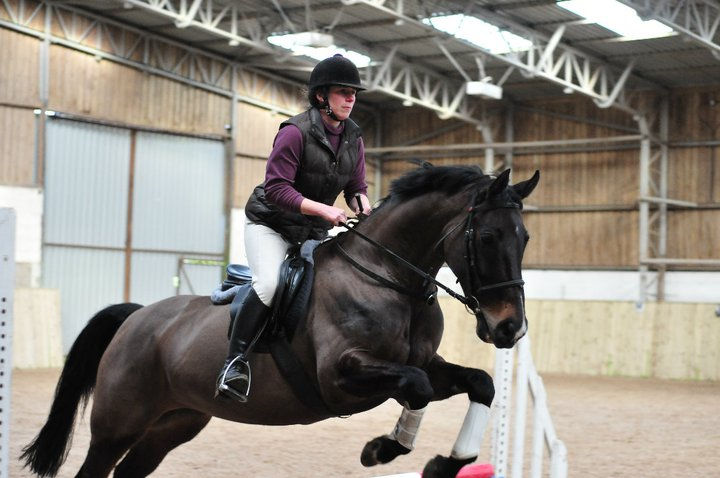 Cheston Farm Equestrian Centre