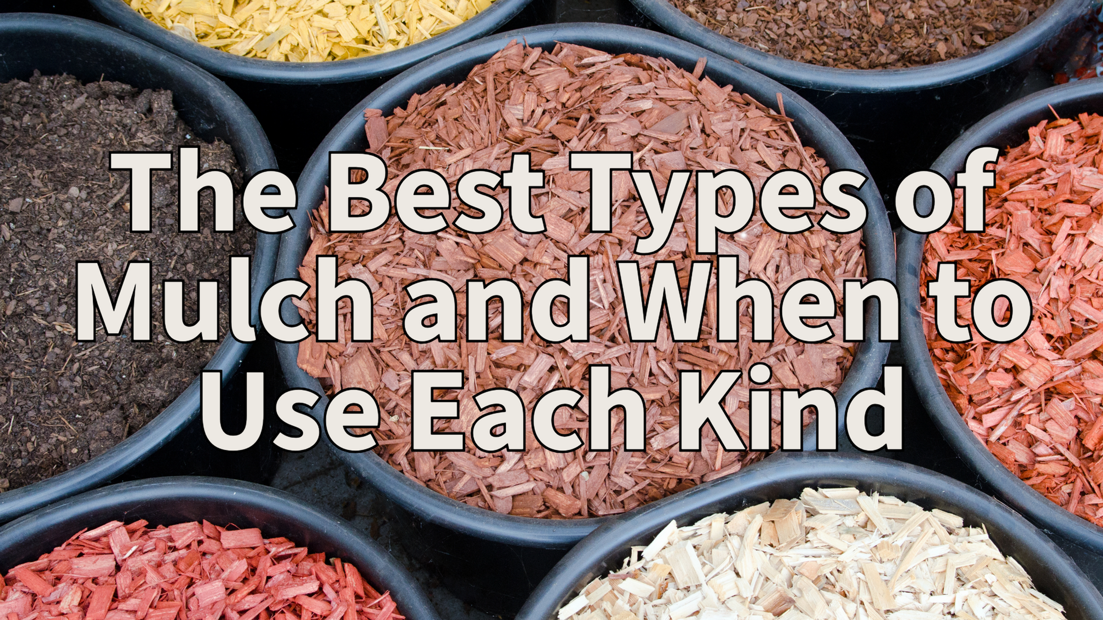 The Best Types of Mulch and the When to Use Each Kind