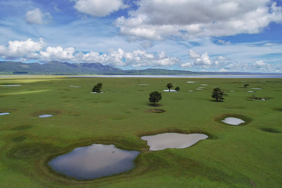 Home | Timor Sightseeing Tours