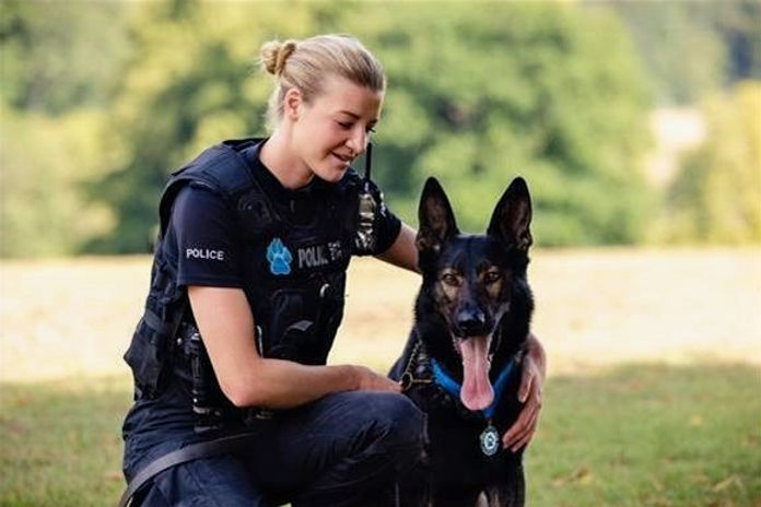 Leicestershire Police dog wins bravery award