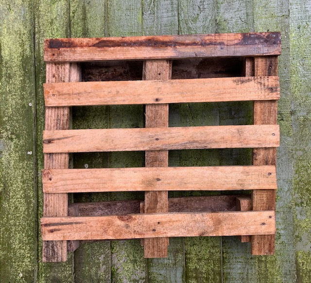 Pallet - Mini | www.eameshorticultur