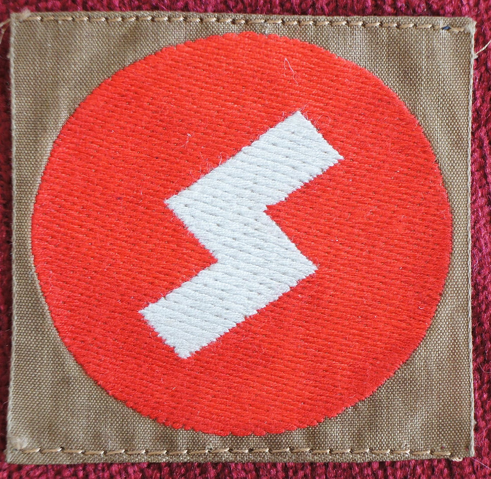 HJ Sig Rune for Oberbann 1. Excellent condition | HJ Militaria