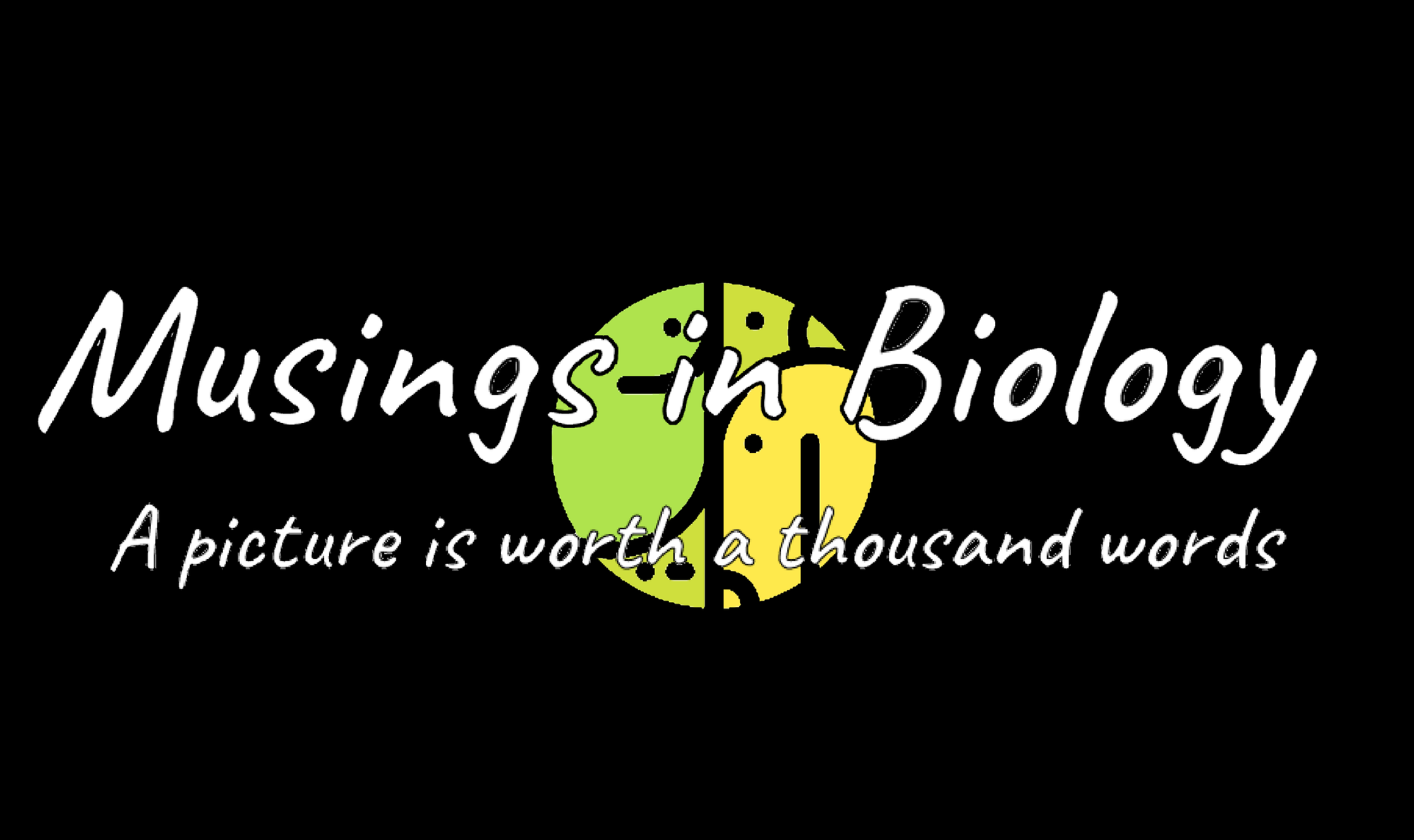 MS Office File Extensions Musings In Biology ms-office-file-extensions-musings-in-biology