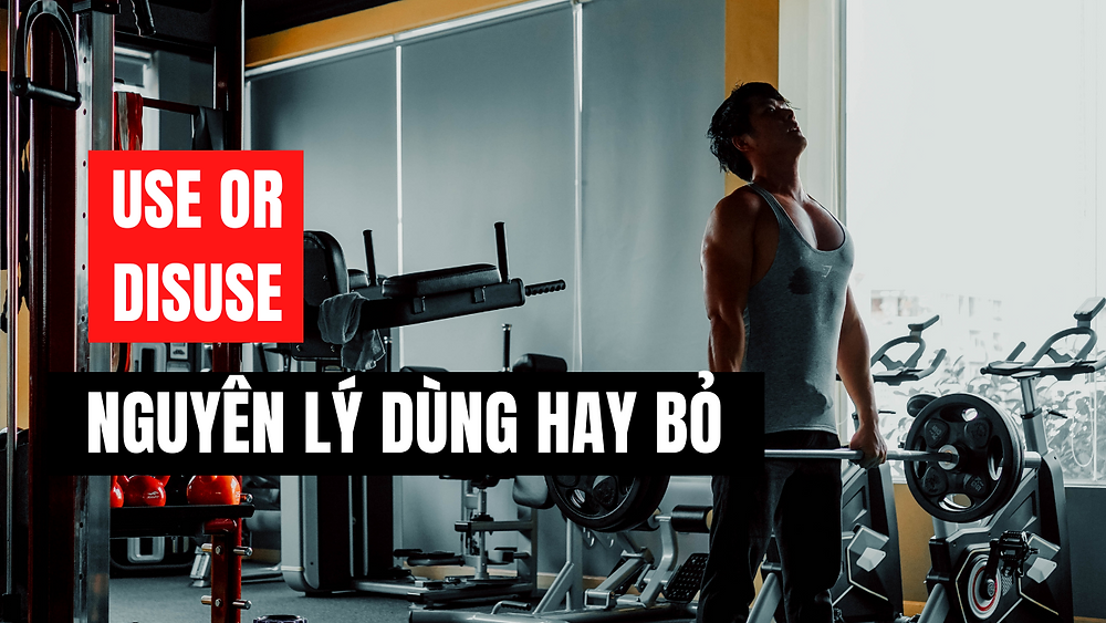 Use/Disuse Principle - Nguyên lý dùng hay là mất