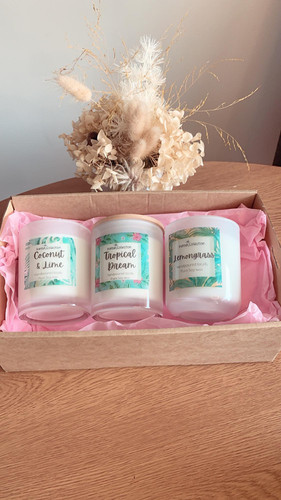 Trio Box | Katoa Collection