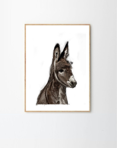 DonKey | Theodora Hotel