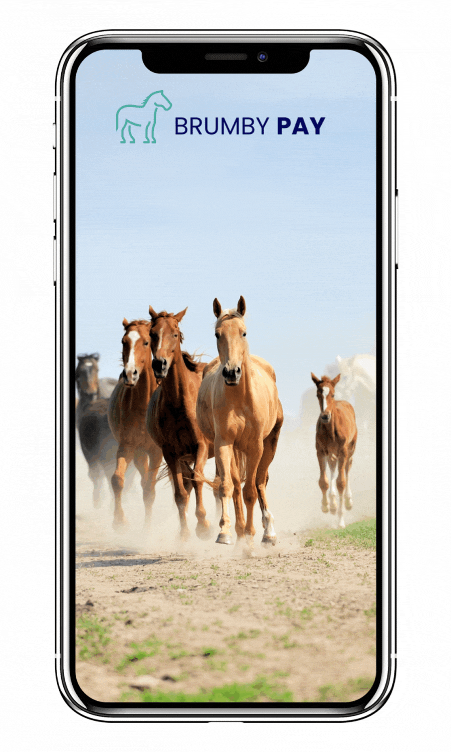 Brumby Pay I Australia's Cashflow Accelerator