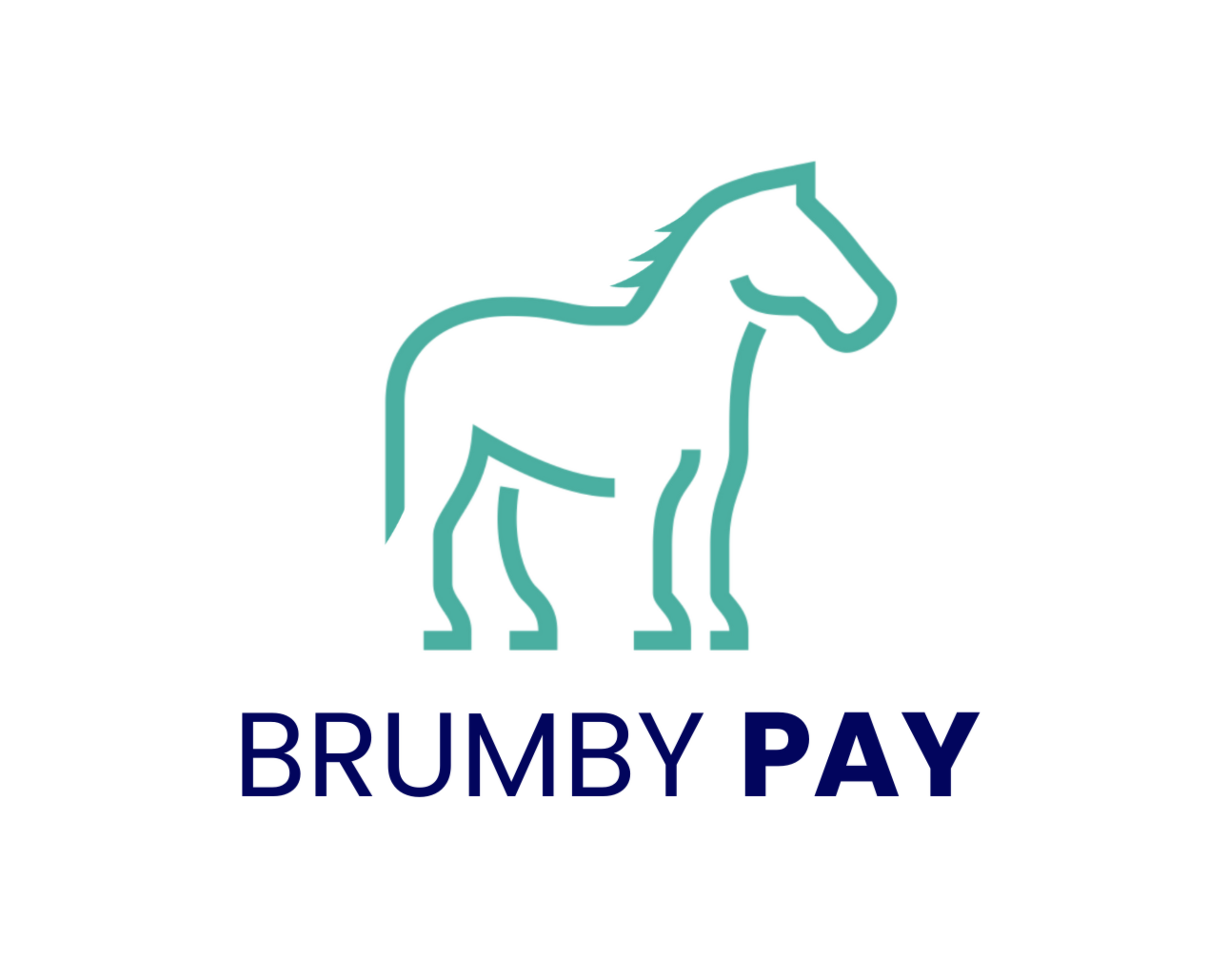 FAQ Trouble Shooting | Brumby Pay