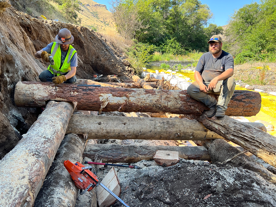 Wakefield Excavation | Excavation | Washington, USA