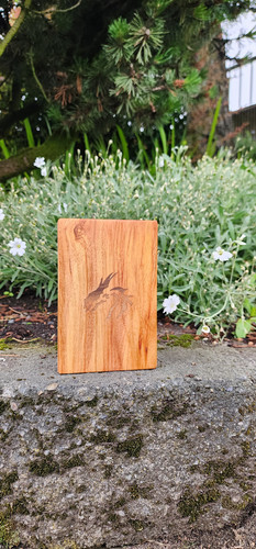 Volcanic Dragon Chest | Bored Dragon